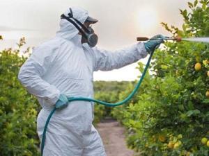 Maschera per trattamenti fitosanitari: guida all'acquisto del miglior ...